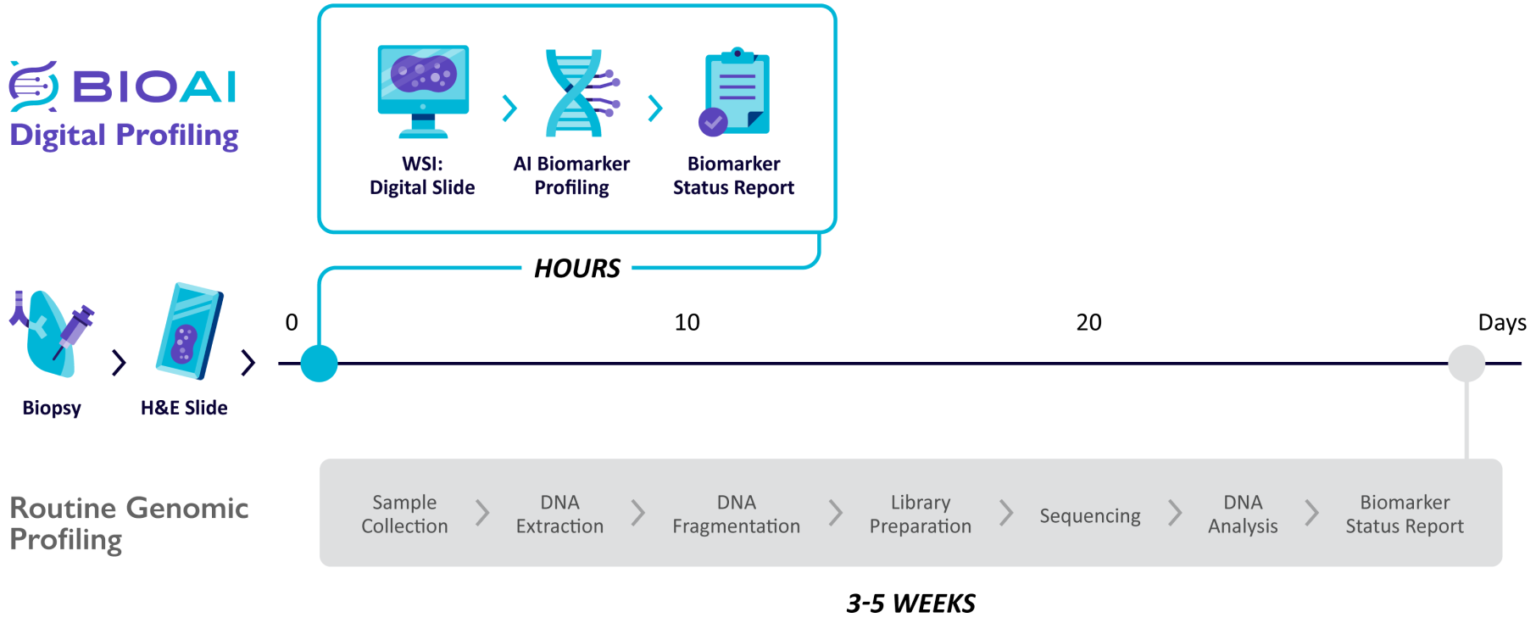 AI Biomarkers for Lung Cancer - BioAI Health